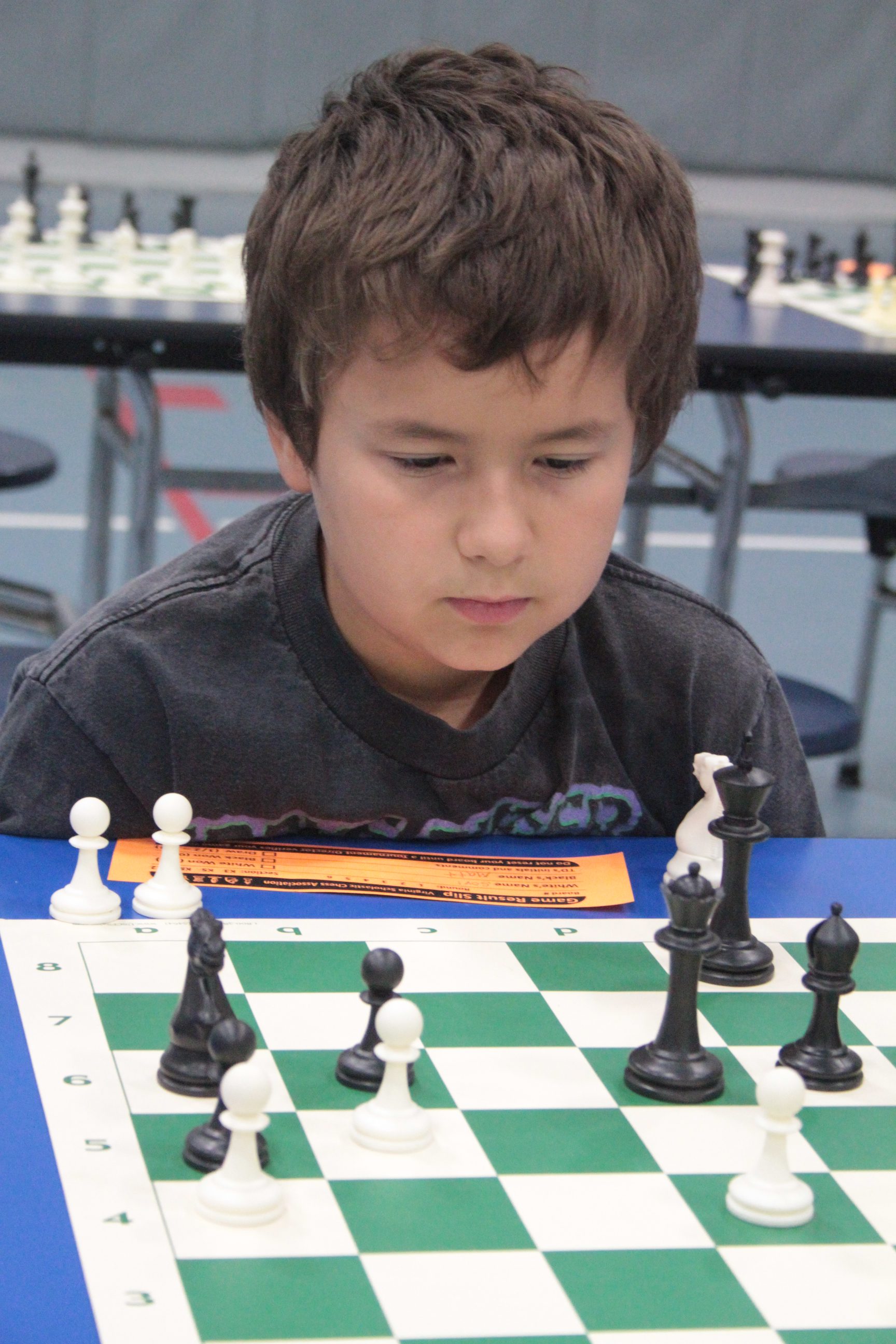 Chess for Schools and Homeschools – Hampton Roads Chess Association